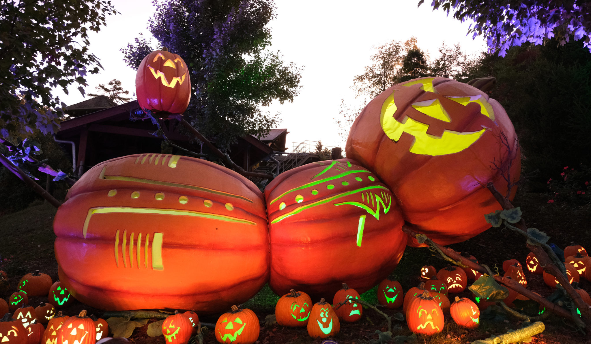 Dollywood’s Harvest Festival Feels Fresh, Yet Familiar | Theme Park ...